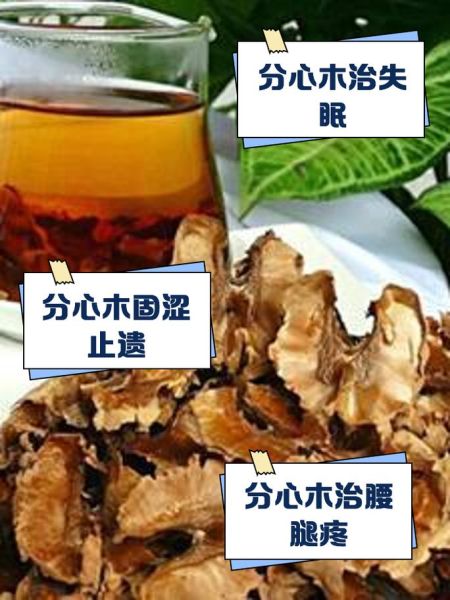 分心木泡水喝的功效与作用_分心木泡水能长期喝吗-第3张图片-山城妙识