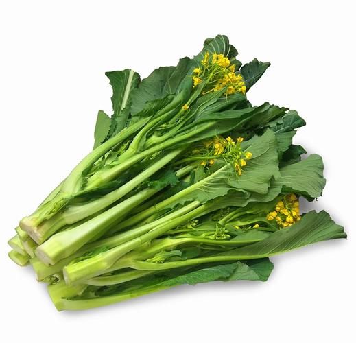 迟菜心怎么做_迟菜心怎么炒才好吃-第1张图片-山城妙识