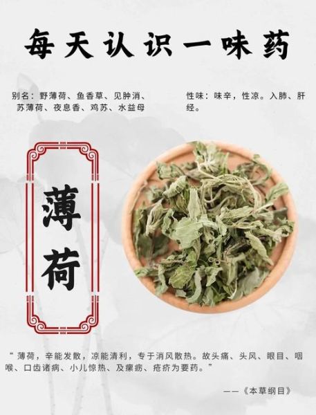 薄荷叶泡水喝的禁忌_孕妇能喝吗-第3张图片-山城妙识 薄荷叶泡水喝的禁忌_孕妇能喝吗-第3张图片-山城妙识