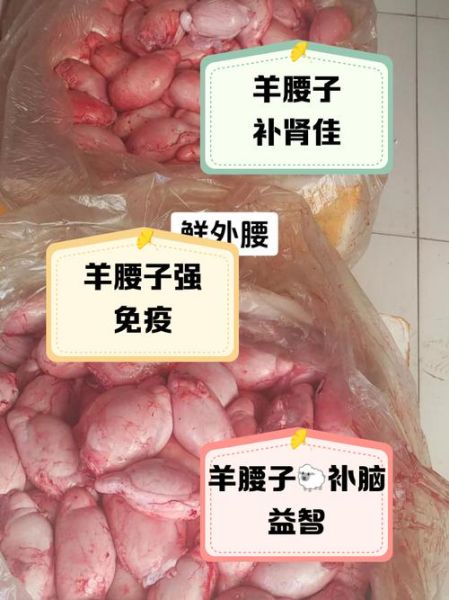 羊腰子补肾壮阳怎么吃_羊腰子功效与作用吃法大全-第3张图片-山城妙识 羊腰子补肾壮阳怎么吃_羊腰子功效与作用吃法大全-第3张图片-山城妙识