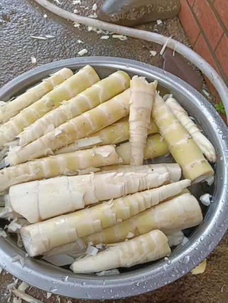 苦竹笋怎么去苦味_苦竹笋焯水多久-第1张图片-山城妙识