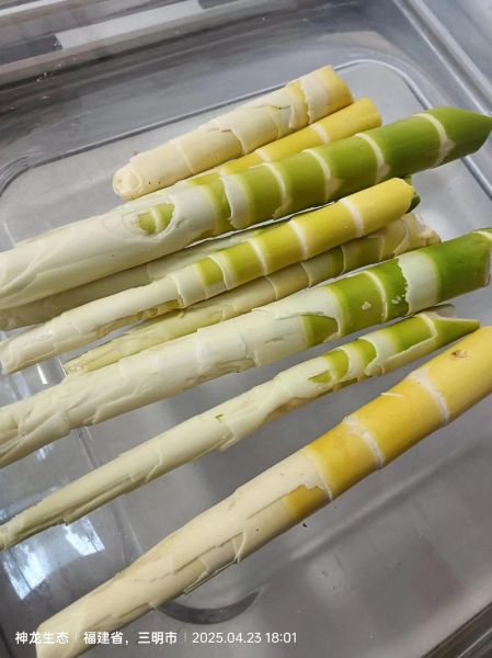 苦竹笋怎么去苦味_苦竹笋焯水多久-第2张图片-山城妙识