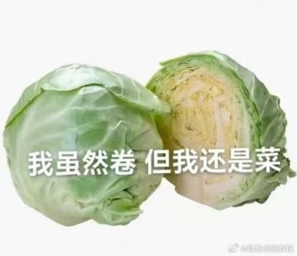 卷心菜又卷又菜表情包怎么来的_为什么突然火了-第1张图片-山城妙识