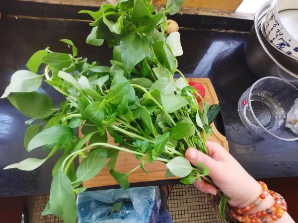 荆芥怎么吃_荆芥做法大全-第3张图片-山城妙识