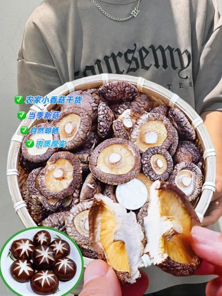 香菇批发价多少钱一斤_2024年最新行情-第1张图片-山城妙识