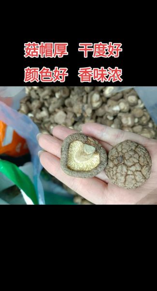 香菇批发价多少钱一斤_2024年最新行情-第2张图片-山城妙识