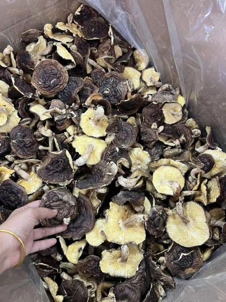 香菇批发价多少钱一斤_2024年最新行情-第3张图片-山城妙识