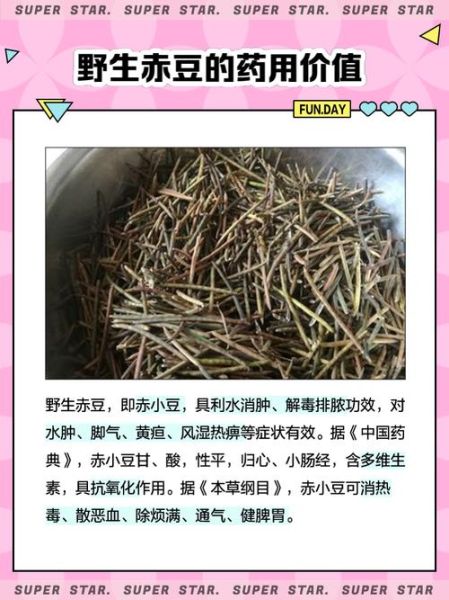 野生赤小豆吃了有什么好处_赤小豆功效与作用-第2张图片-山城妙识 野生赤小豆吃了有什么好处_赤小豆功效与作用-第2张图片-山城妙识