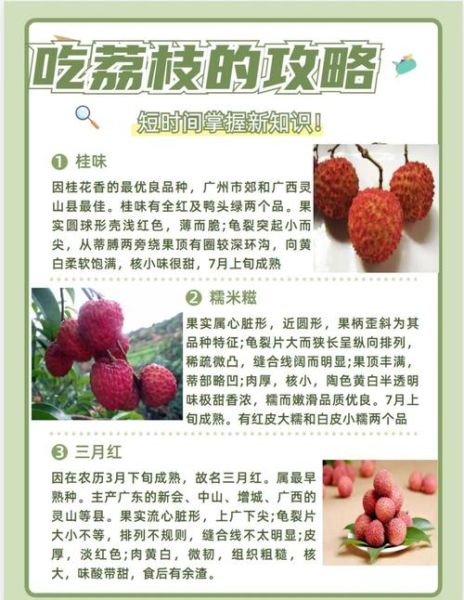 荔枝的功效与作用_吃荔枝会上火吗-第3张图片-山城妙识 荔枝的功效与作用_吃荔枝会上火吗-第3张图片-山城妙识