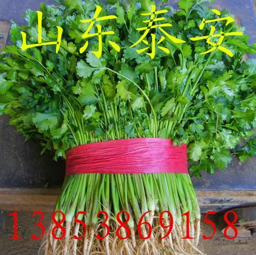 香菜网商城怎么样_香菜网商城靠谱吗-第1张图片-山城妙识 香菜网商城怎么样_香菜网商城靠谱吗-第1张图片-山城妙识