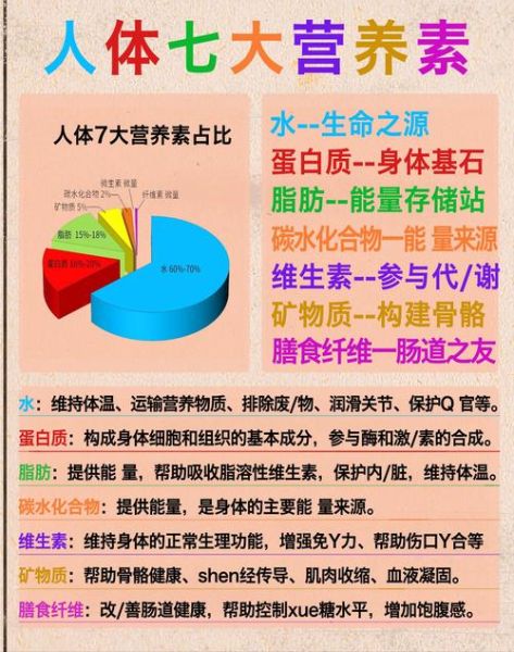 营养素包括哪几类_人体必需营养素有哪些-第1张图片-山城妙识