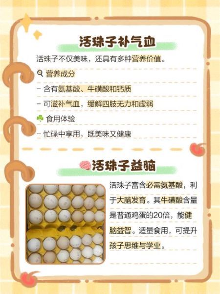 男人吃活珠子有什么好处_活珠子对男性功效-第3张图片-山城妙识