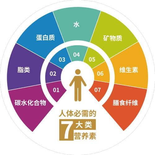 营养素包括哪几类_人体必需营养素有哪些-第2张图片-山城妙识
