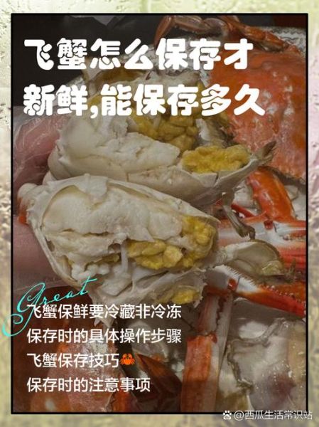 飞蟹养殖技术_飞蟹养殖成本和利润-第2张图片-山城妙识 飞蟹养殖技术_飞蟹养殖成本和利润-第2张图片-山城妙识