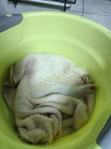 牛肚怎么处理干净_牛肚清洗去腥技巧-第2张图片-山城妙识