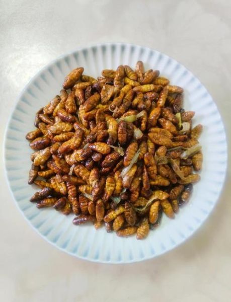 水煮蚕蛹怎么做好吃_水煮蚕蛹需要煮多久-第2张图片-山城妙识 水煮蚕蛹怎么做好吃_水煮蚕蛹需要煮多久-第2张图片-山城妙识