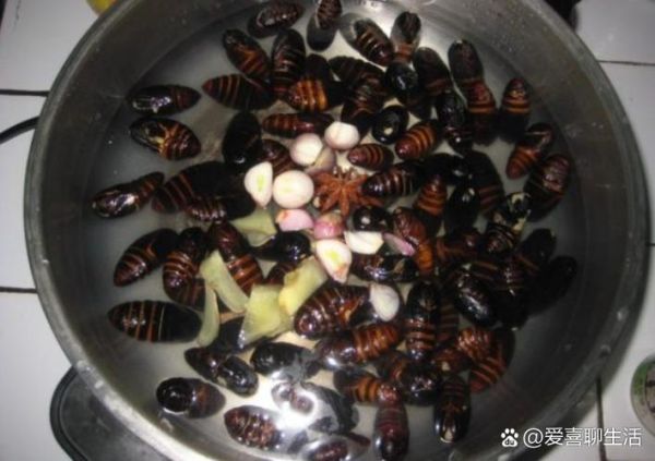 水煮蚕蛹怎么做好吃_水煮蚕蛹需要煮多久-第1张图片-山城妙识 水煮蚕蛹怎么做好吃_水煮蚕蛹需要煮多久-第1张图片-山城妙识