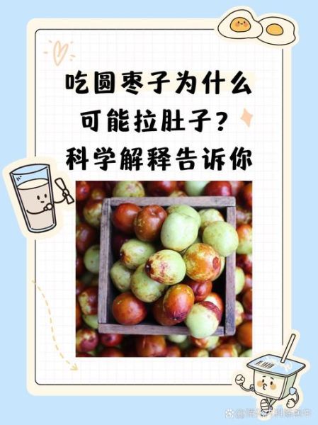 圆枣子的功效与作用_孕妇能吃吗-第1张图片-山城妙识