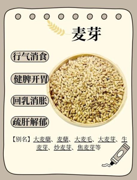 生麦芽回奶效果好吗_生麦芽回奶用量多少克-第1张图片-山城妙识