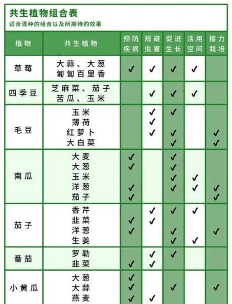 蔬菜营养搭配_如何科学配餐-第3张图片-山城妙识
