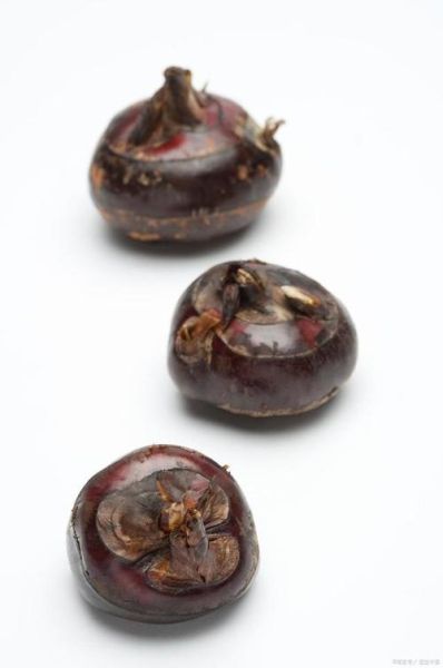 荸荠怎么读音_荸荠的拼音是什么-第3张图片-山城妙识