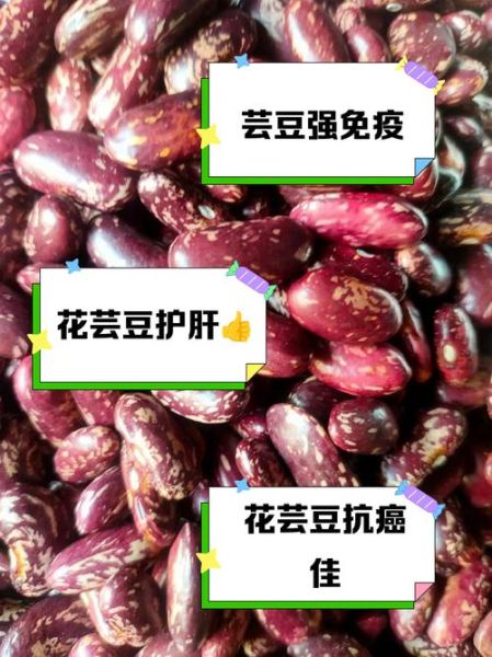 花芸豆的功效与作用_花芸豆怎么做好吃-第1张图片-山城妙识