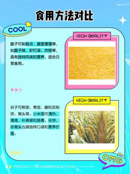 谷子是什么_谷子和小麦的区别-第1张图片-山城妙识 谷子是什么_谷子和小麦的区别-第1张图片-山城妙识