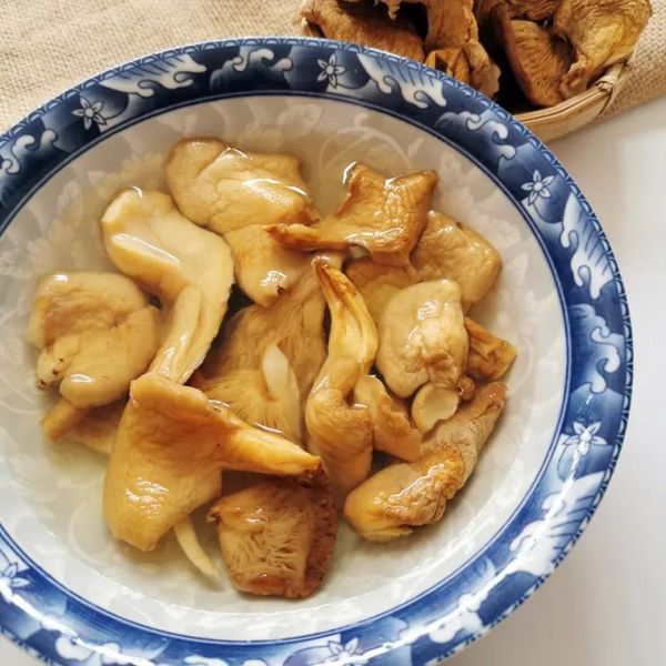 元蘑图片怎么挑选_元蘑真假如何辨别-第3张图片-山城妙识