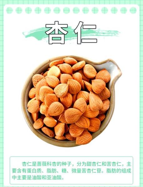 甜杏仁和苦杏仁的区别_哪个更适合日常食用-第1张图片-山城妙识