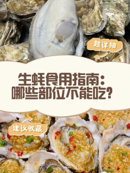 生蚝哪些部位不能吃_怎么处理最安全-第3张图片-山城妙识
