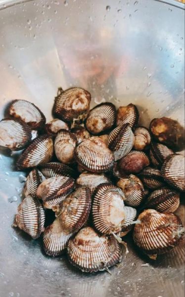 海菠菜怎么做好吃_海菠菜的家常做法-第1张图片-山城妙识