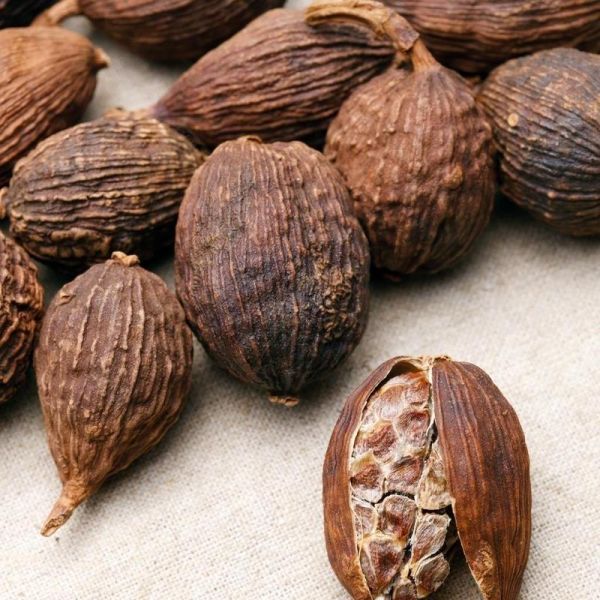 草果长什么样_草果和肉蔻的区别-第3张图片-山城妙识