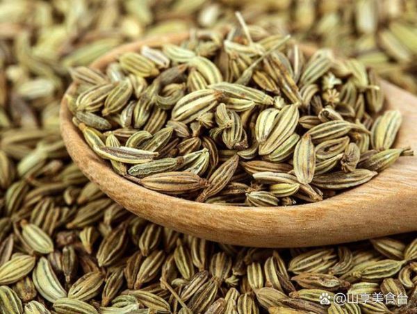 草果长什么样_草果和肉蔻的区别-第2张图片-山城妙识