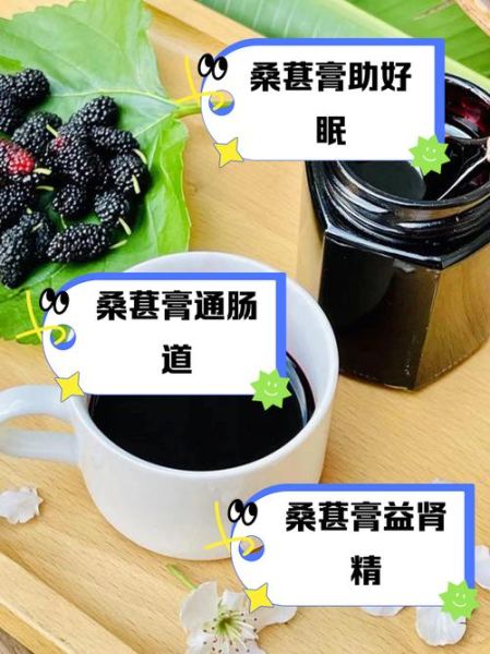 桑葚膏什么时候喝最好_桑葚膏最佳服用时间-第1张图片-山城妙识