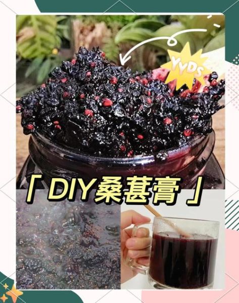 桑葚膏什么时候喝最好_桑葚膏最佳服用时间-第3张图片-山城妙识