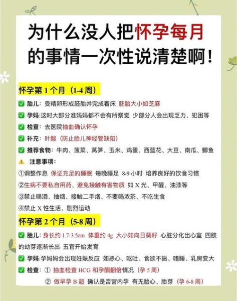 怀孕前三个月禁忌_孕妇注意事项-第1张图片-山城妙识