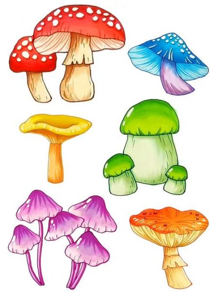 蘑菇图片简笔画彩色_如何画彩色蘑菇简笔画-第2张图片-山城妙识 蘑菇图片简笔画彩色_如何画彩色蘑菇简笔画-第2张图片-山城妙识