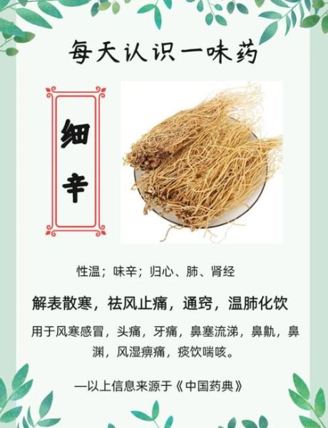 细辛的神奇功效有哪些_细辛怎么用效果最好-第1张图片-山城妙识 细辛的神奇功效有哪些_细辛怎么用效果最好-第1张图片-山城妙识