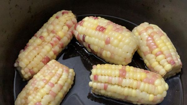 高压锅煮玉米要多久_高压锅煮玉米冷水还是热水-第2张图片-山城妙识