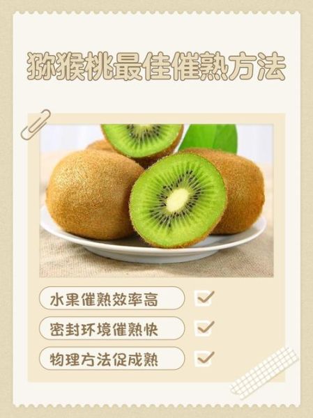 经期可以吃猕猴桃吗_猕猴桃对月经的影响-第1张图片-山城妙识 经期可以吃猕猴桃吗_猕猴桃对月经的影响-第1张图片-山城妙识