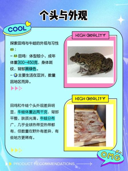 田鸡长什么样子_田鸡和青蛙的区别-第1张图片-山城妙识