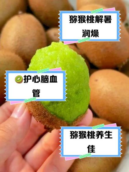 经期可以吃猕猴桃吗_猕猴桃对月经的影响-第3张图片-山城妙识 经期可以吃猕猴桃吗_猕猴桃对月经的影响-第3张图片-山城妙识