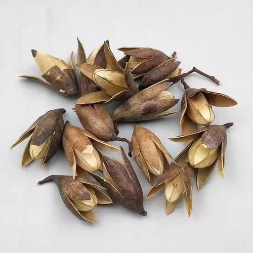 香椿子的功效与作用_香椿子怎么吃最好-第3张图片-山城妙识