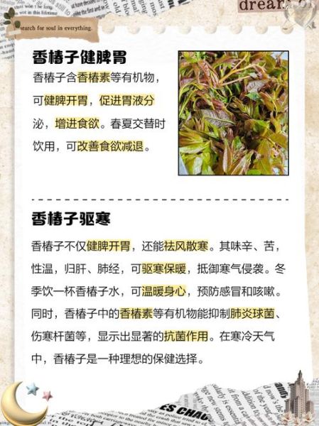 香椿子的功效与作用_香椿子怎么吃最好-第2张图片-山城妙识