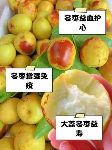冬枣是凉性还是温性_冬枣吃多了会上火吗-第1张图片-山城妙识