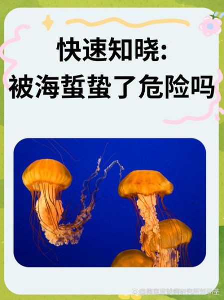 吃海蜇的害处有哪些_海蜇吃多了会怎样-第1张图片-山城妙识