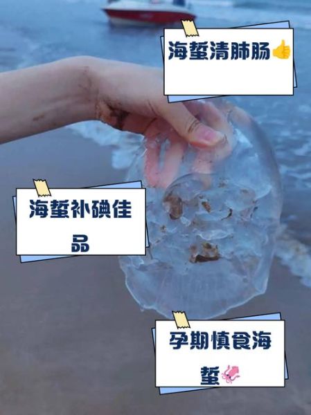 吃海蜇的害处有哪些_海蜇吃多了会怎样-第3张图片-山城妙识
