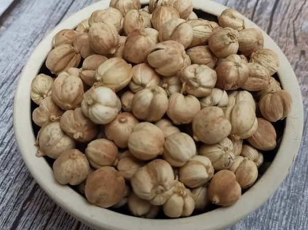 肉蔻图片长什么样_肉蔻真假怎么分辨-第2张图片-山城妙识 肉蔻图片长什么样_肉蔻真假怎么分辨-第2张图片-山城妙识