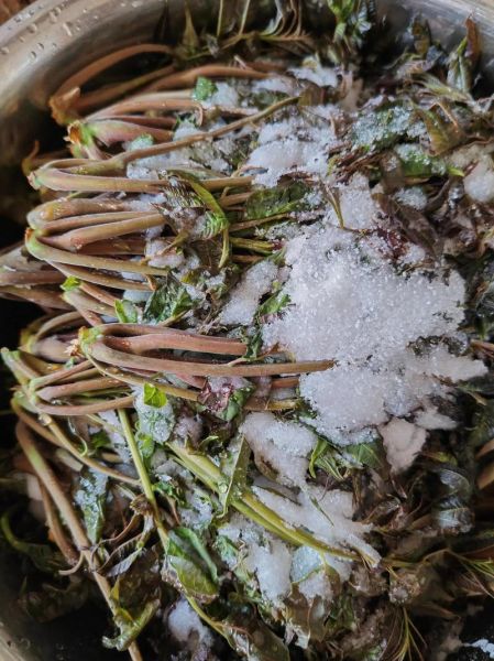 咸香椿怎么做好吃_咸香椿的保存方法-第1张图片-山城妙识 咸香椿怎么做好吃_咸香椿的保存方法-第1张图片-山城妙识