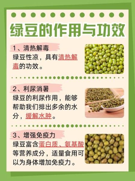 绿豆的功效与作用有哪些_绿豆怎么吃最降火-第1张图片-山城妙识